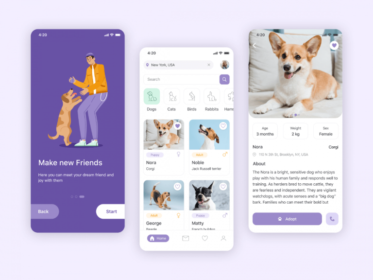 Pet Adoptation App - Free Figma Resource | Figma Elements