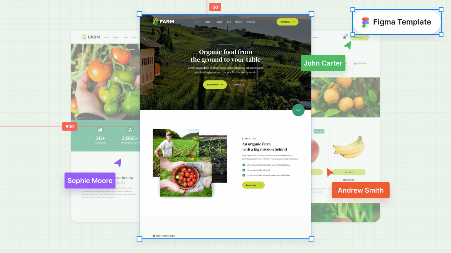 Farm - Farm Figma Template - Free Figma Resource | Figma Elements
